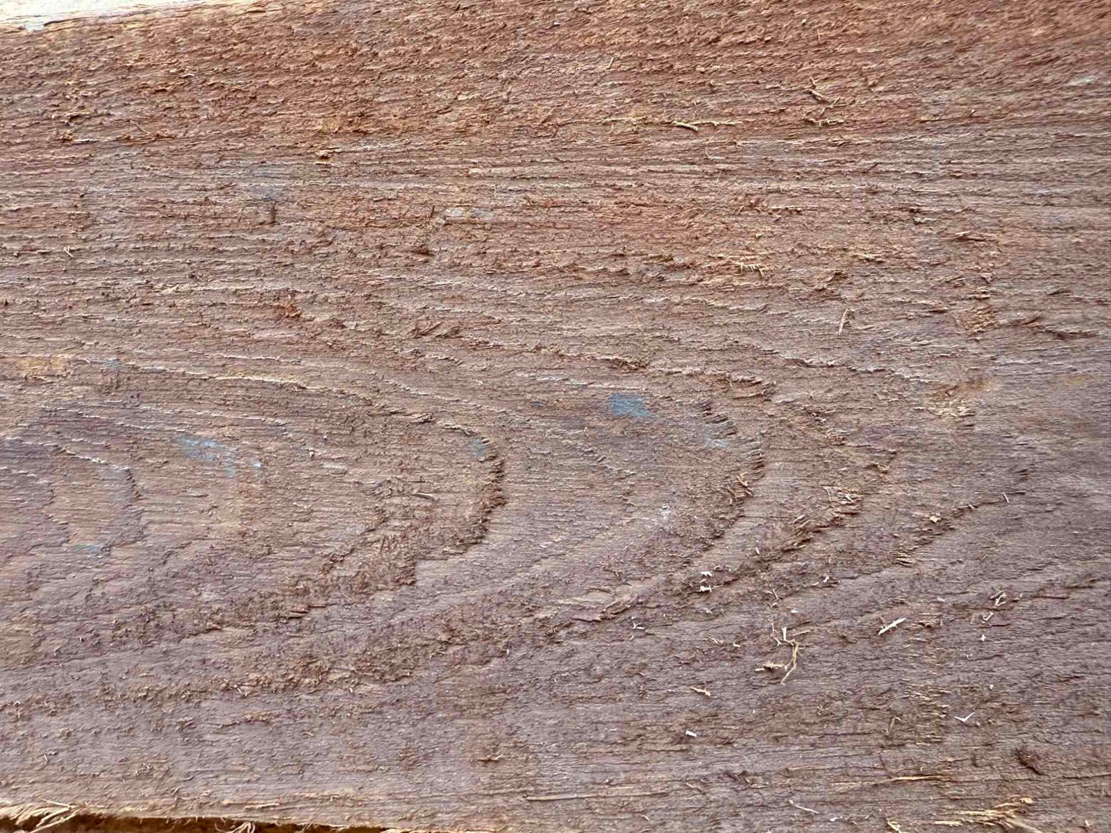 Madera fina: Iroko - Maderas y Materiales JR