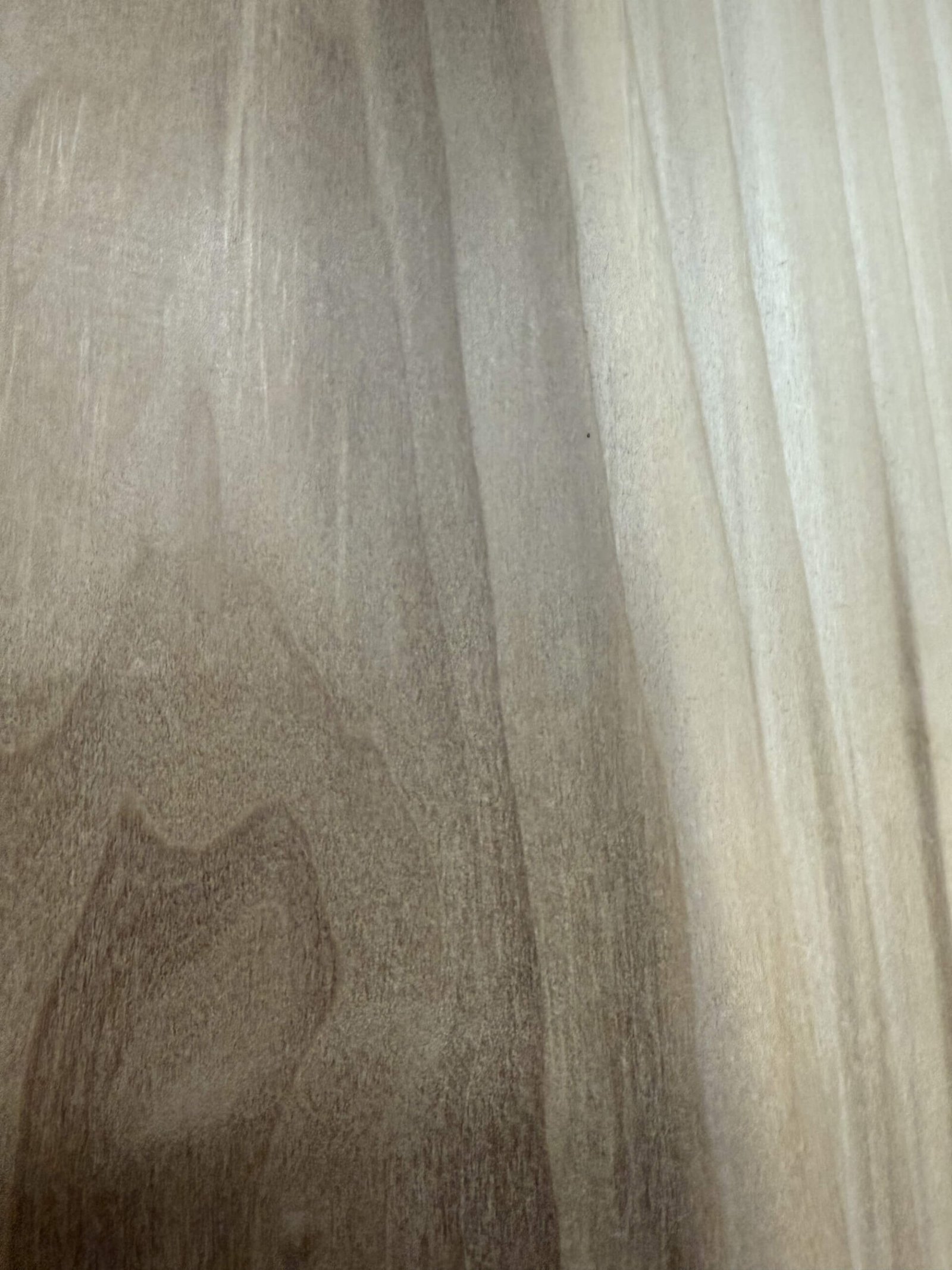Madera fina: Poplar - Maderas y Materiales JR